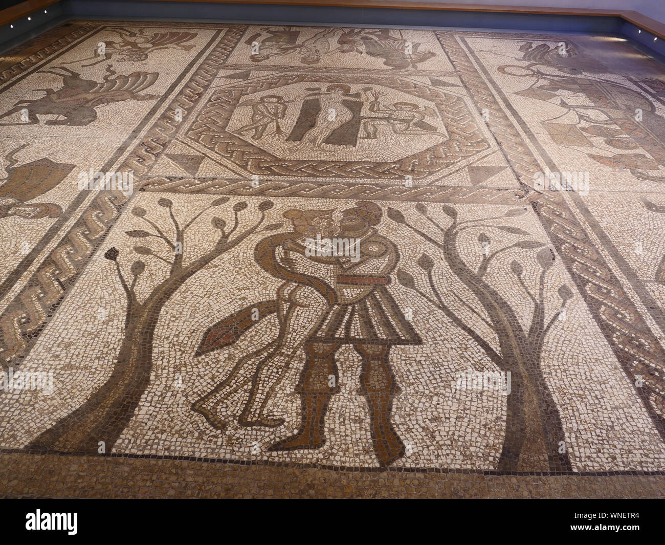 Low Ham Roman Mosaic, Dido and Aeneas, photographed in Somerset County ...