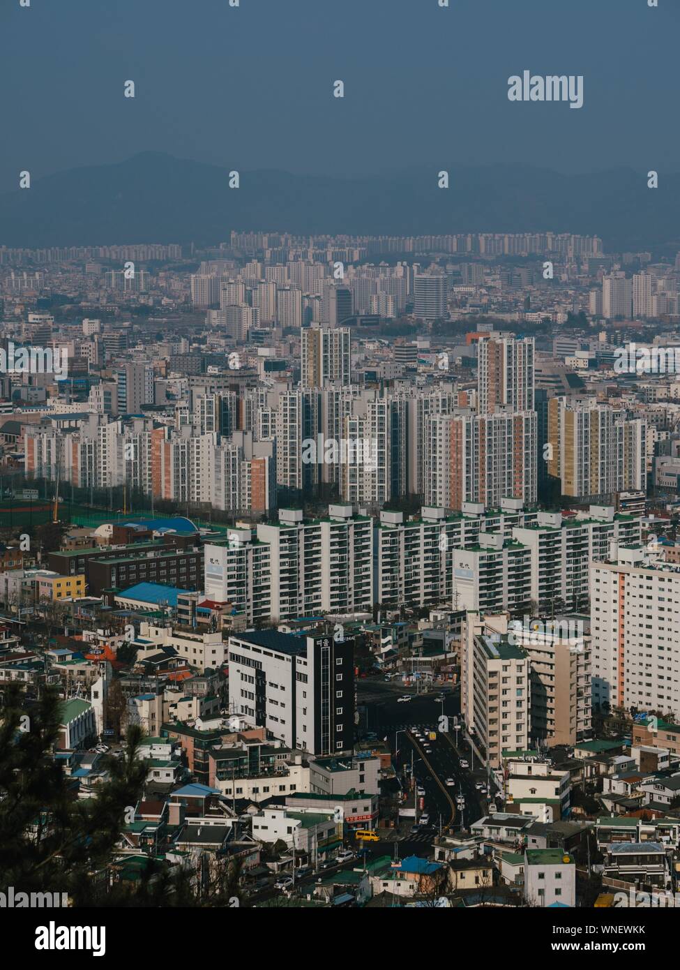 Daejeon city hi-res stock photography and images - Alamy