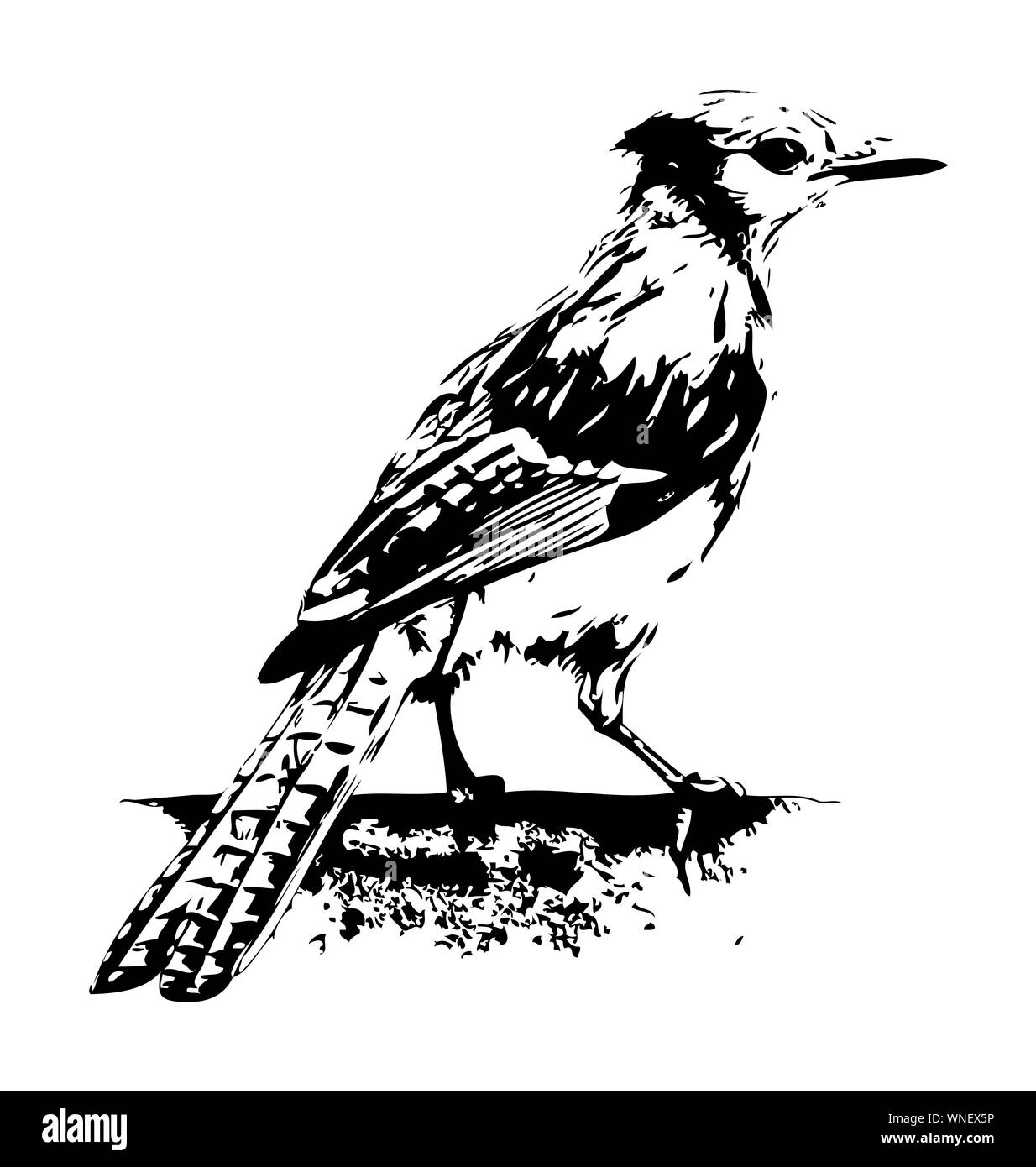 bird art illustration Stock Photo - Alamy