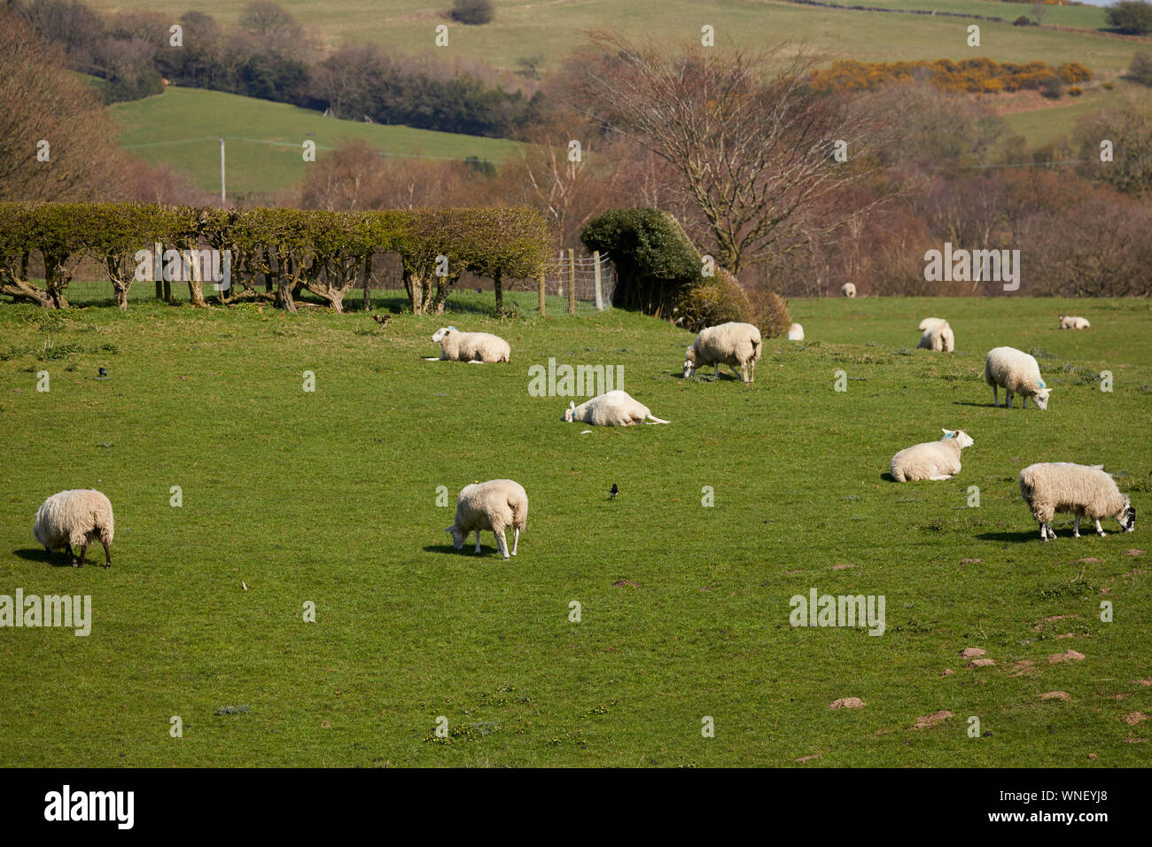 Tameside countryside hi-res stock photography and images - Alamy