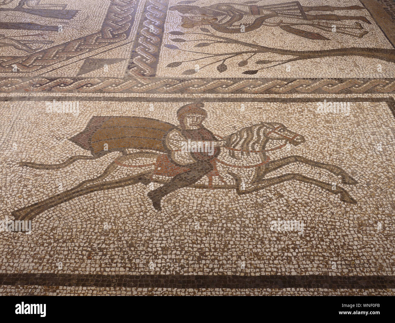 Low Ham Roman Mosaic, Dido and Aeneas, photographed in Somerset County ...