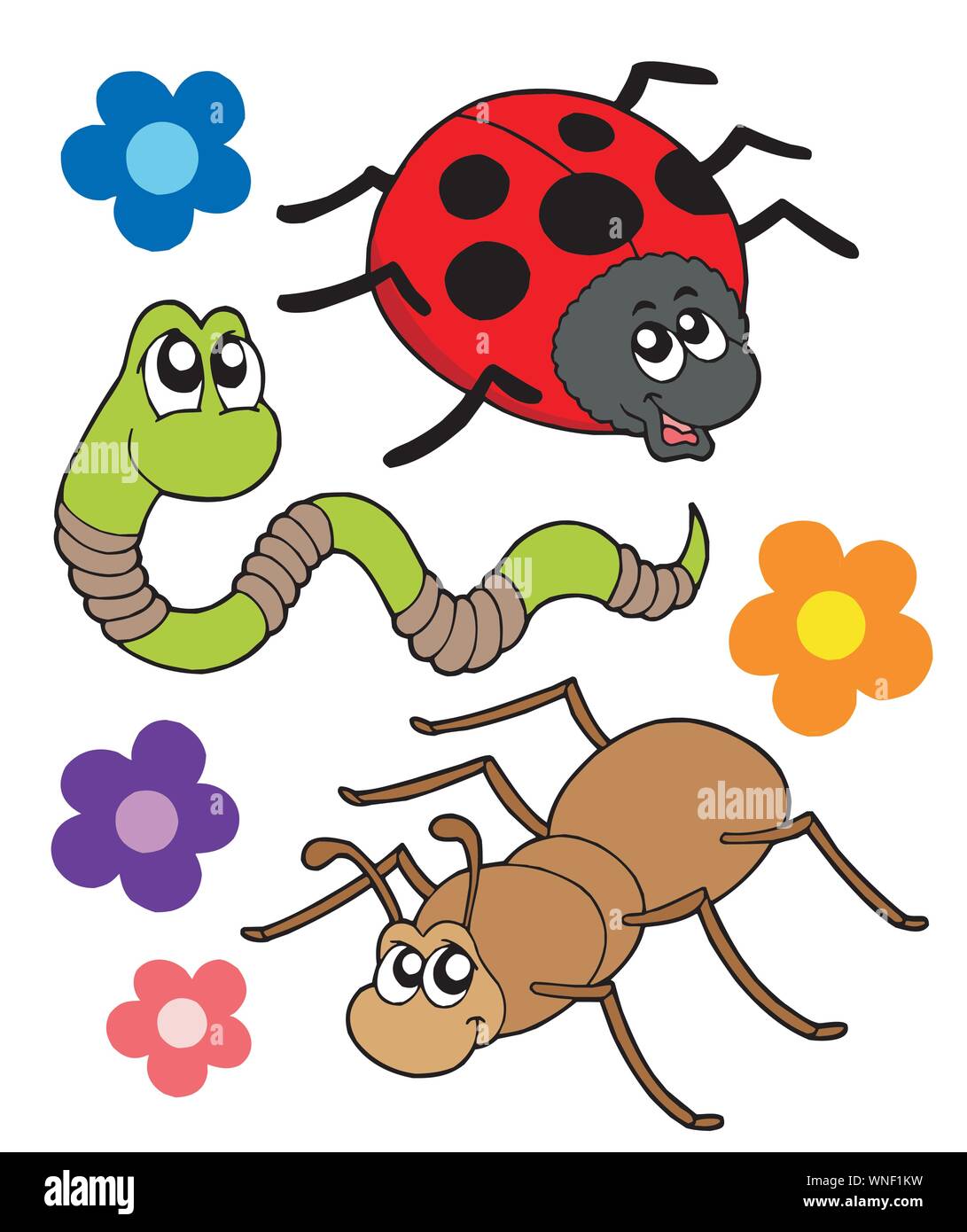 Various bugs collection Stock Vector Image & Art - Alamy
