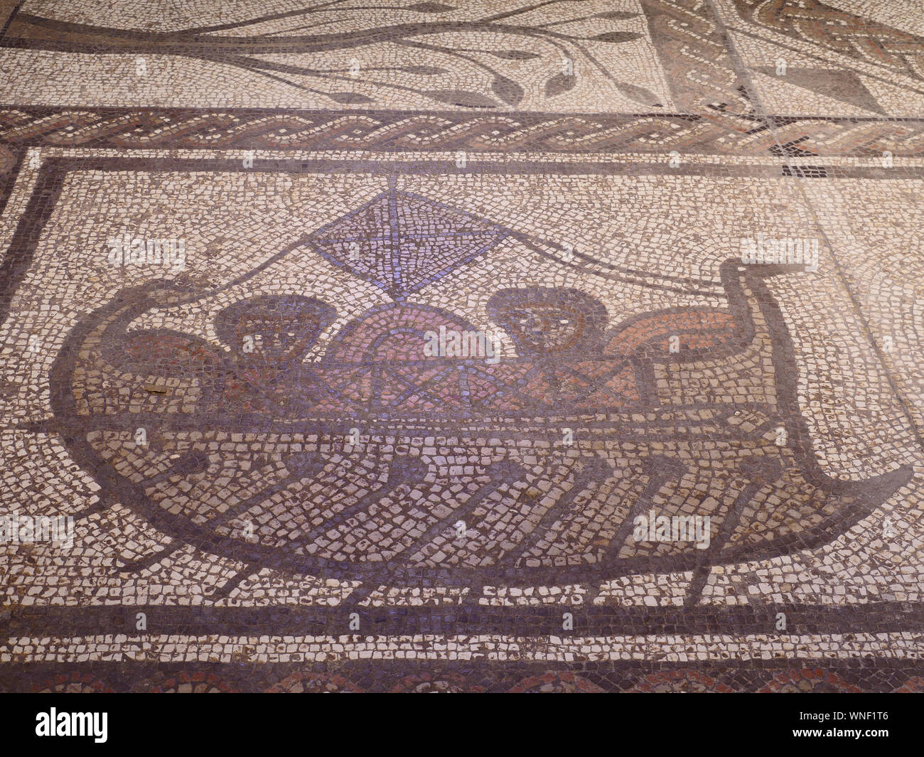 Low ham aeneas hi-res stock photography and images - Alamy