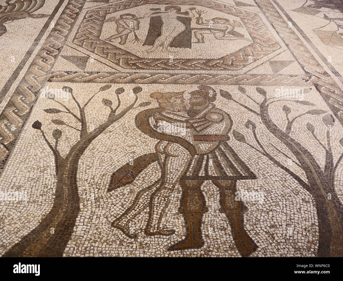 Low Ham Roman Mosaic, Dido and Aeneas, photographed in Somerset County ...