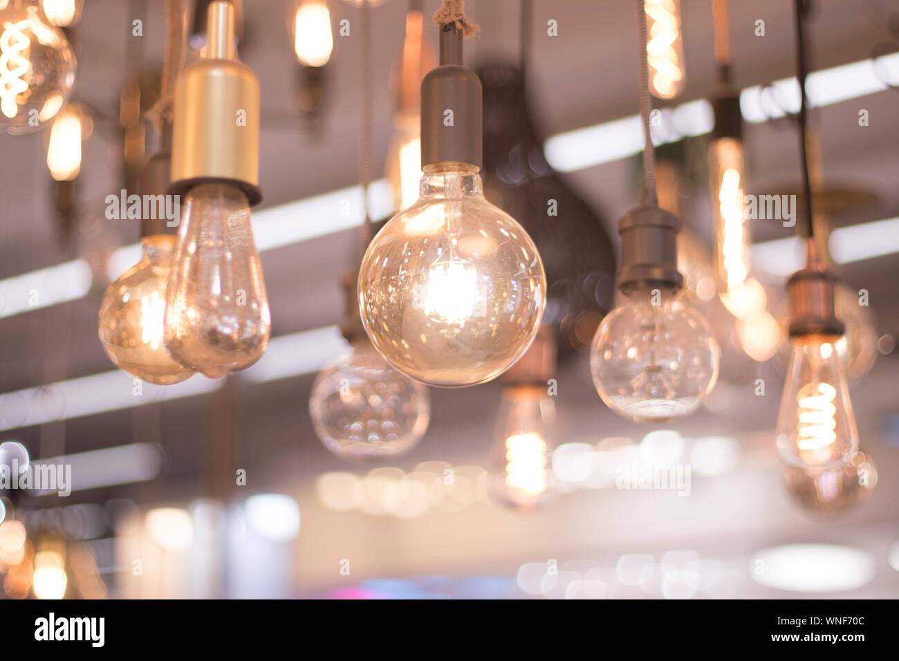 LED modern lights and bulbs on display in store lighting department ...