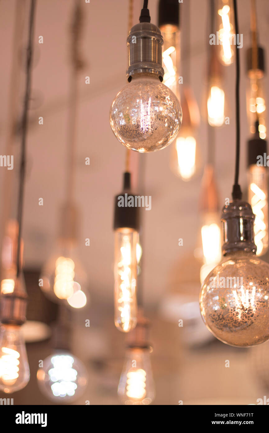 LED modern lights and bulbs on display in store lighting department ...