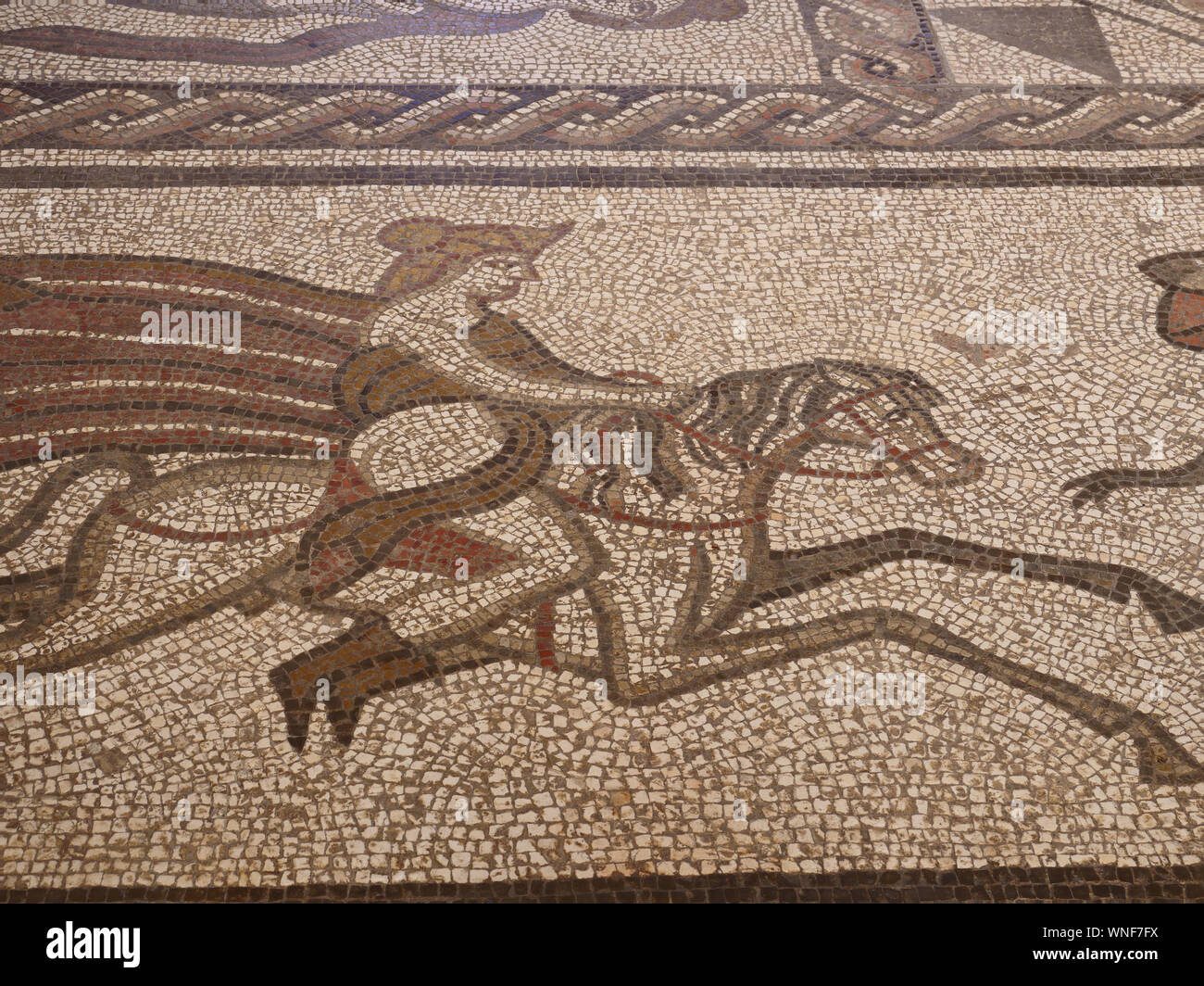 Low Ham Roman Mosaic, Dido and Aeneas, photographed in Somerset County ...