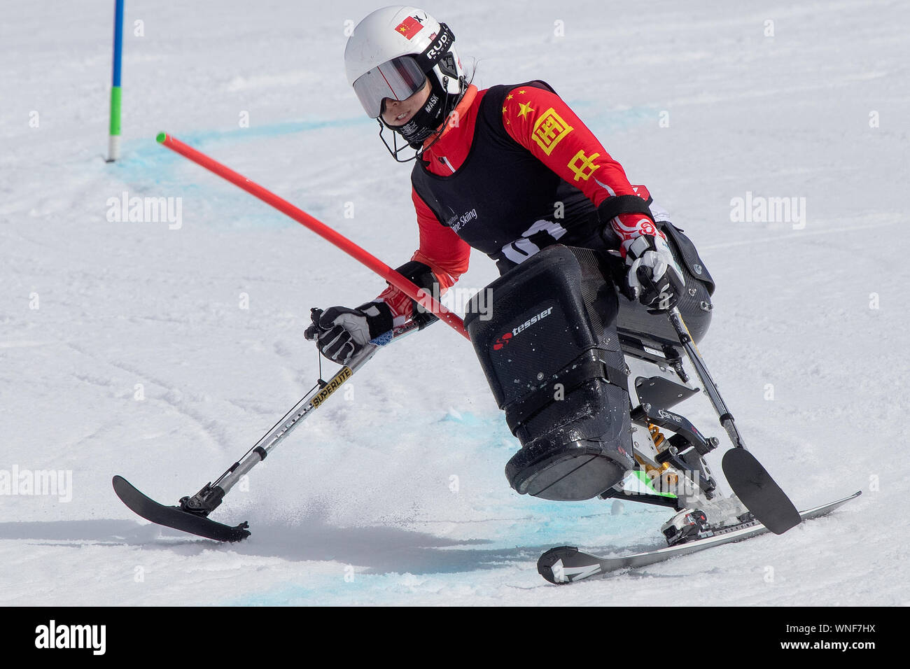 Sitong liu hi-res stock photography and images - Alamy