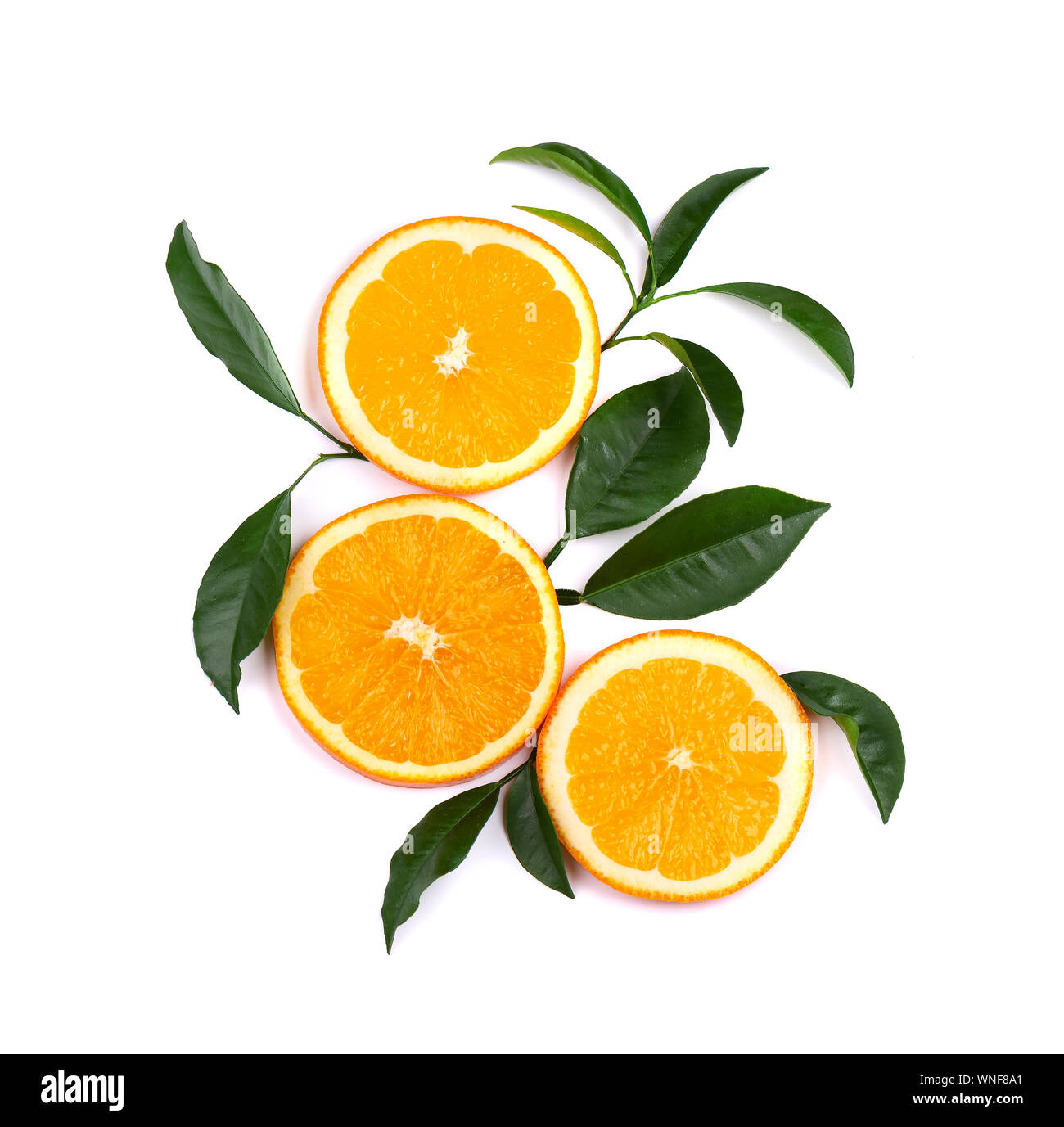 Citrus fruits isolated on white background. Pieces of orange isolated ...