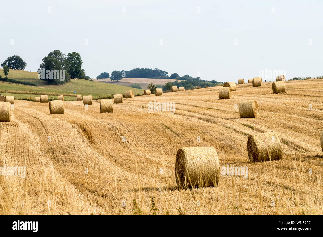 Roll yield hi-res stock photography and images - Alamy