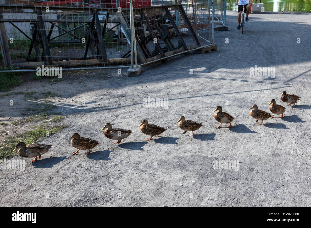 Walk in single file hi-res stock photography and images - Alamy