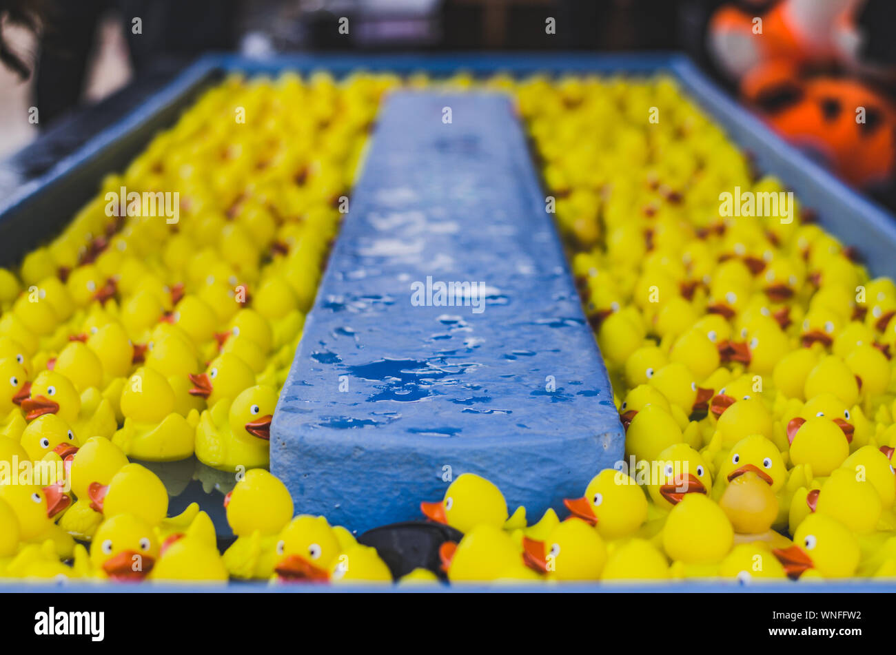 Water collection container hi-res stock photography and images - Alamy