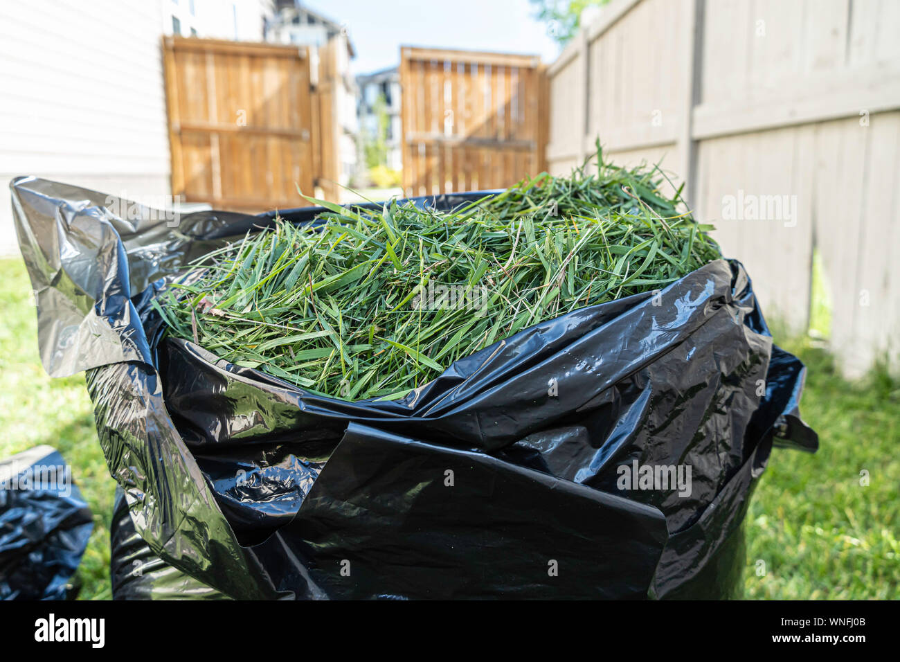 Bag of grass cut with an electric lawnmower Stock Photo - Alamy