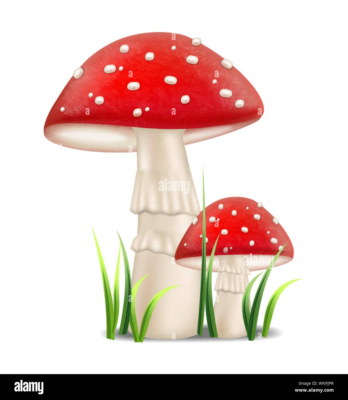 Red mushrooms vector realistic. Growing Detailed 3d illustration Stock ...