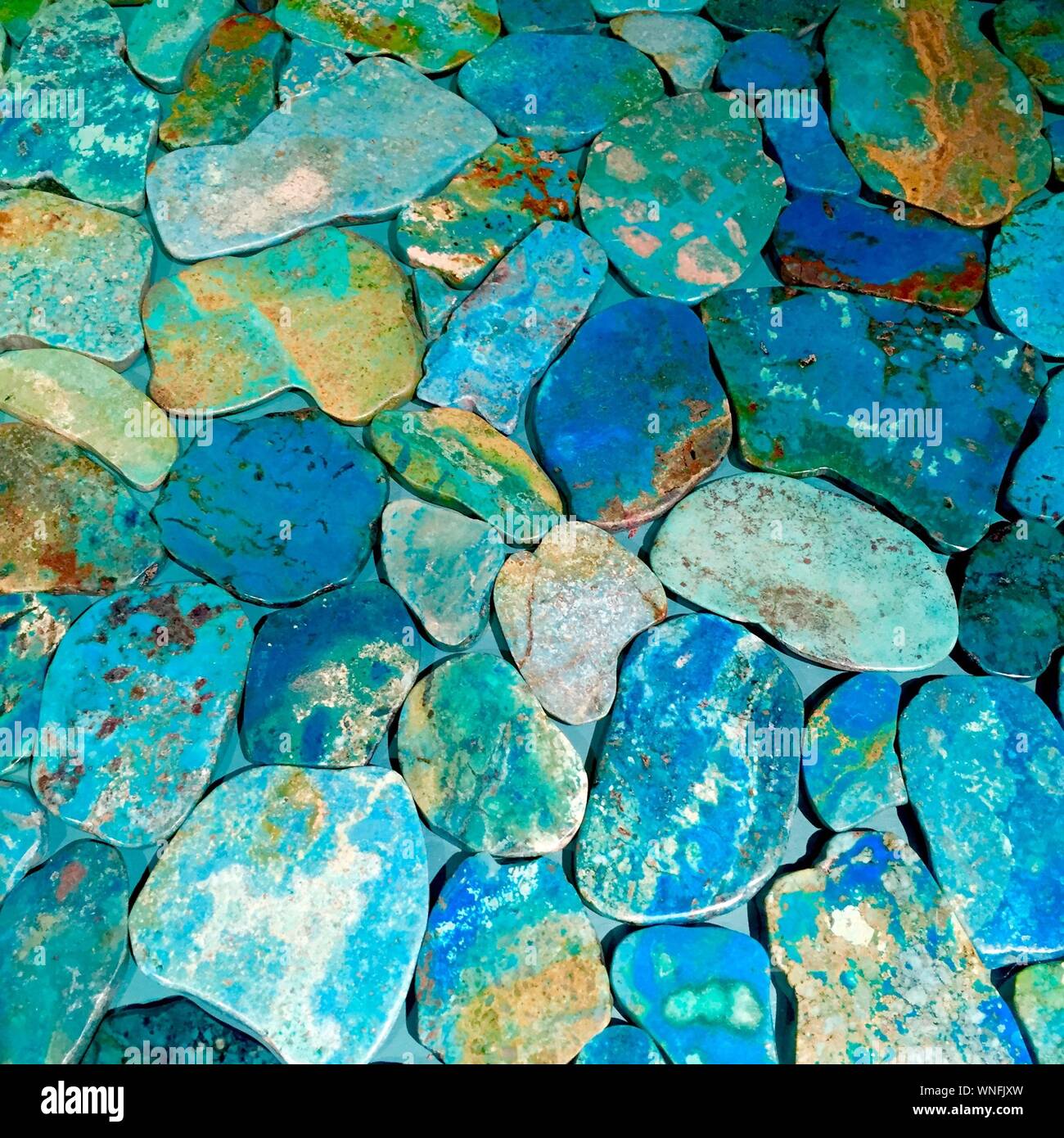 Sea bed hi-res stock photography and images - Alamy