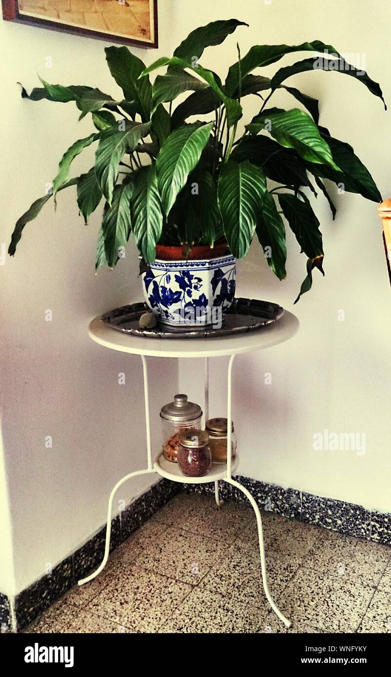 Corner pot corner hi-res stock photography and images - Alamy