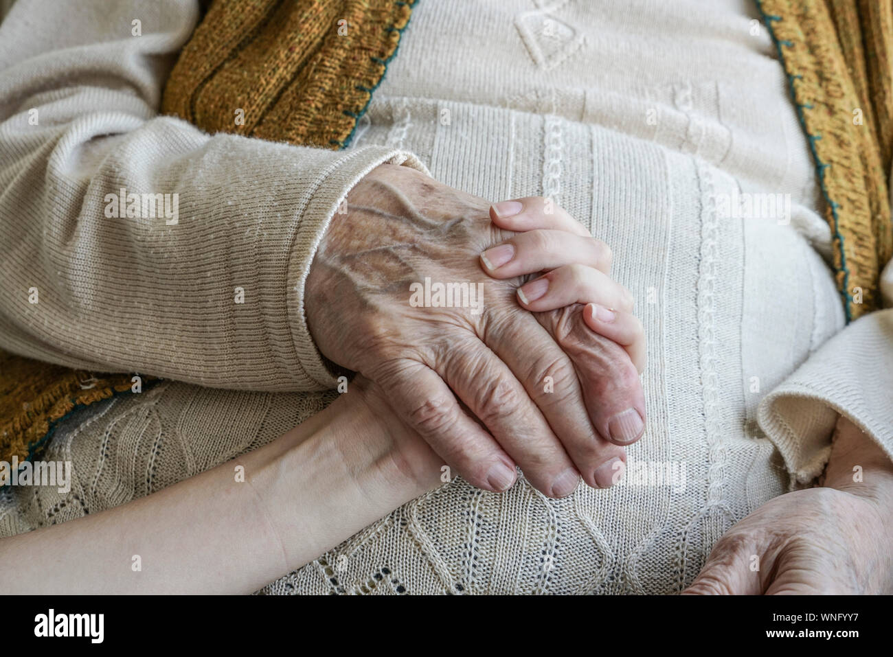 closeup wrinkled hand holding a younger hand Stock Photo - Alamy