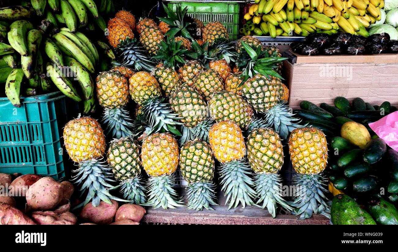 Panama Fruits Stock Photos & Panama Fruits Stock Images - Alamy