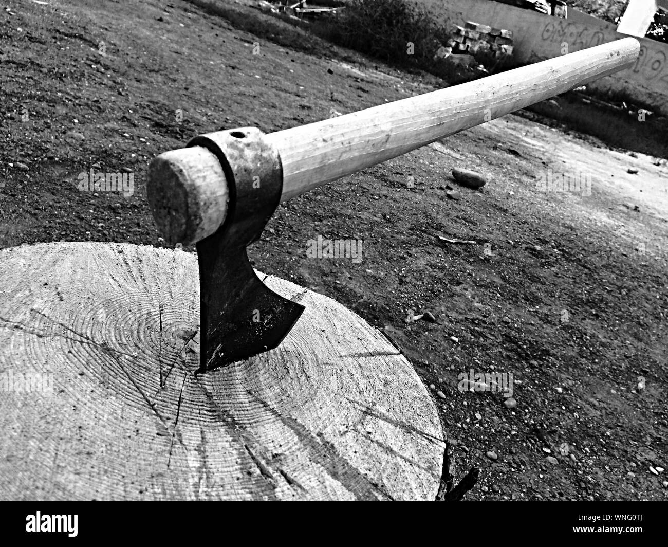 Axe in tree stump Black and White Stock Photos & Images - Alamy