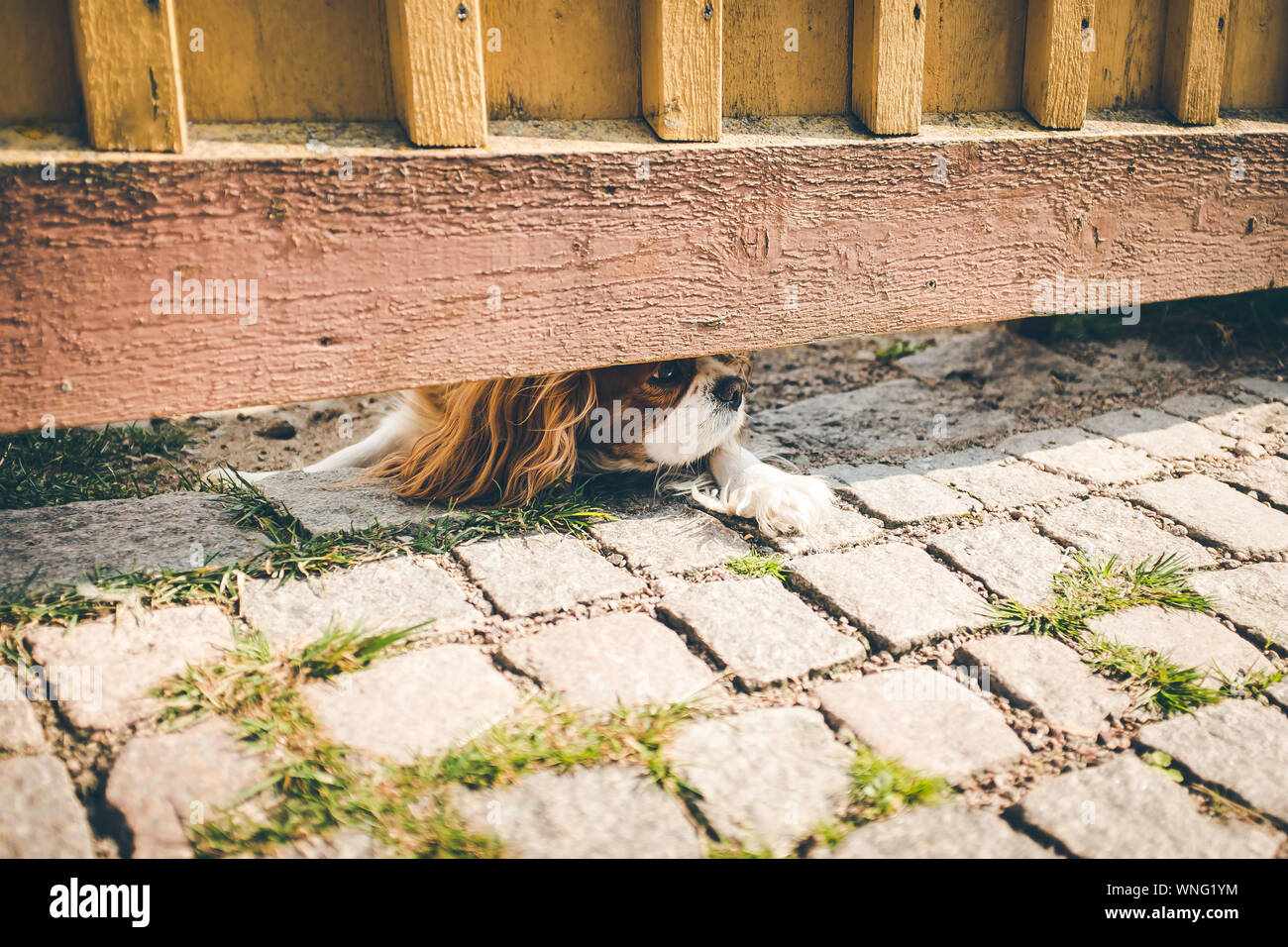 Underneath Surface High Resolution Stock Photography and Images - Alamy