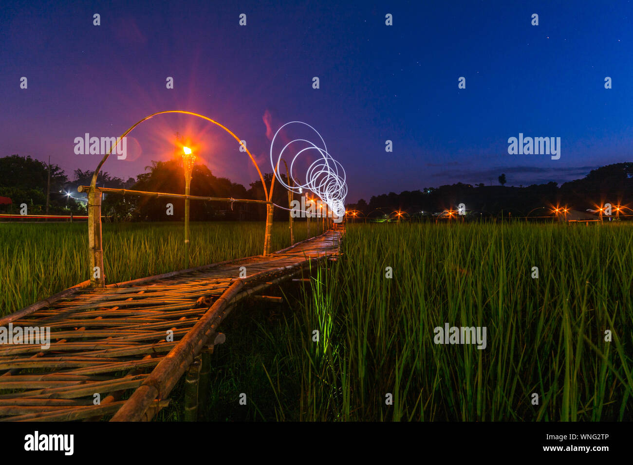 Rice field painting hi-res stock photography and images - Alamy