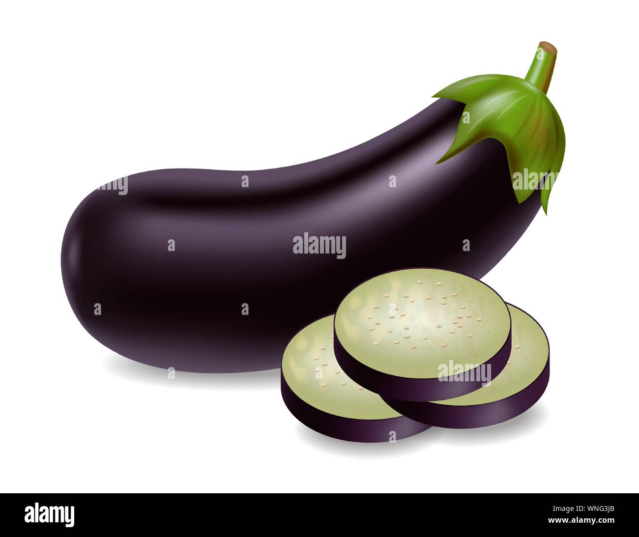 Eggplant vector realistic isolated on white 3d illustration Stock ...