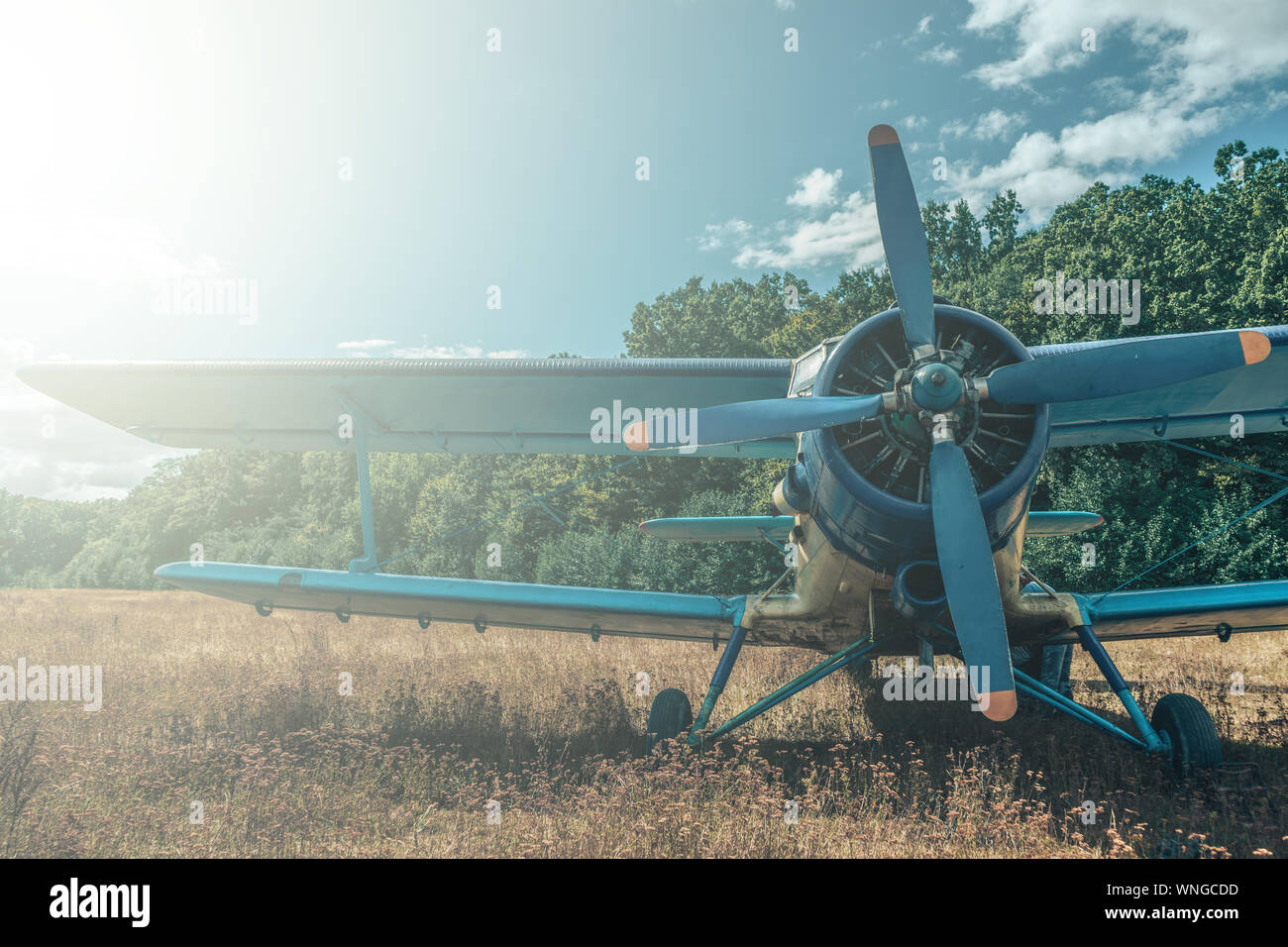 Beautiful blue and yellow airplane on a forest and sky background ...