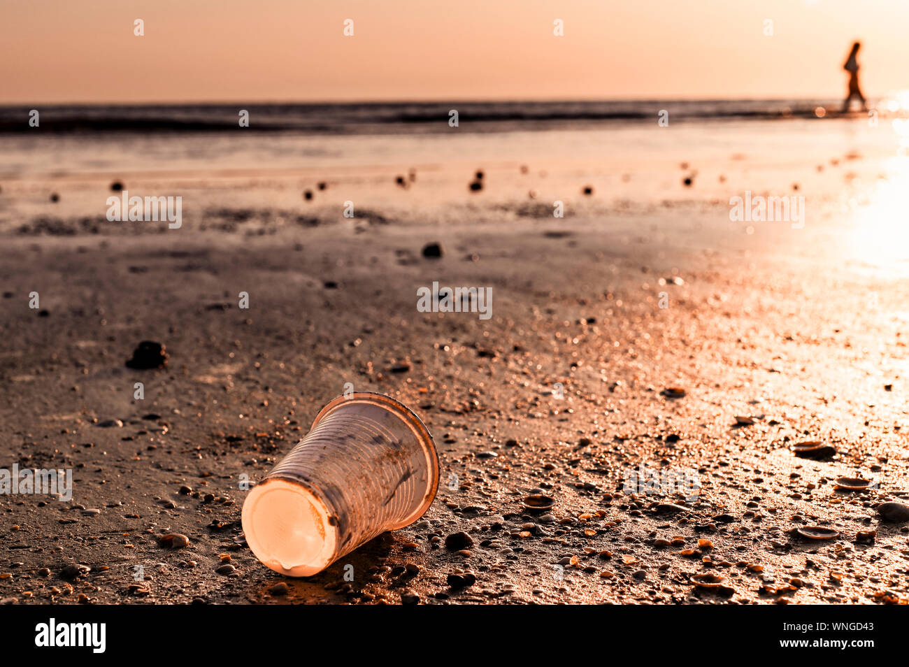 Plastic disposable cup on the beach in the sand. Ecological disaster ...