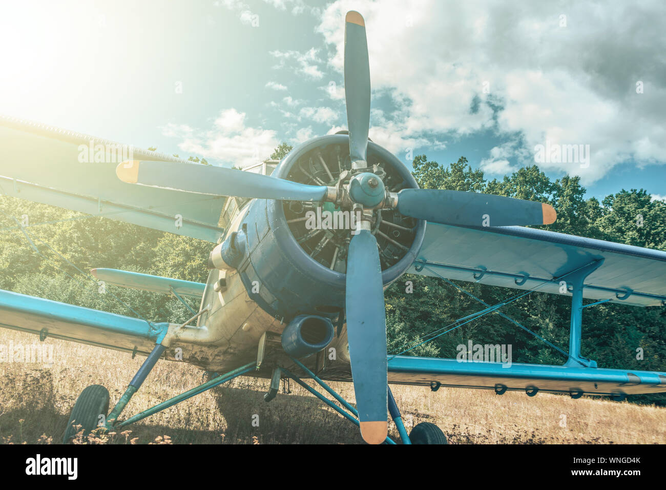 Beautiful blue and yellow airplane on a forest and sky background ...