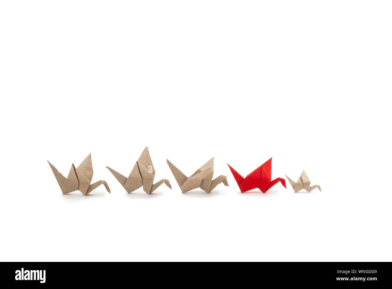 Five white cranes hi-res stock photography and images - Alamy