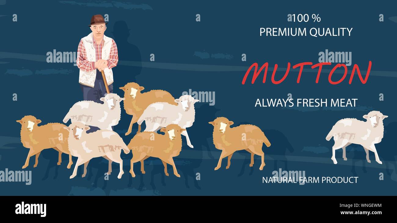 Old farmer and sheep Vector banner. Mutton products organic agriculture ...