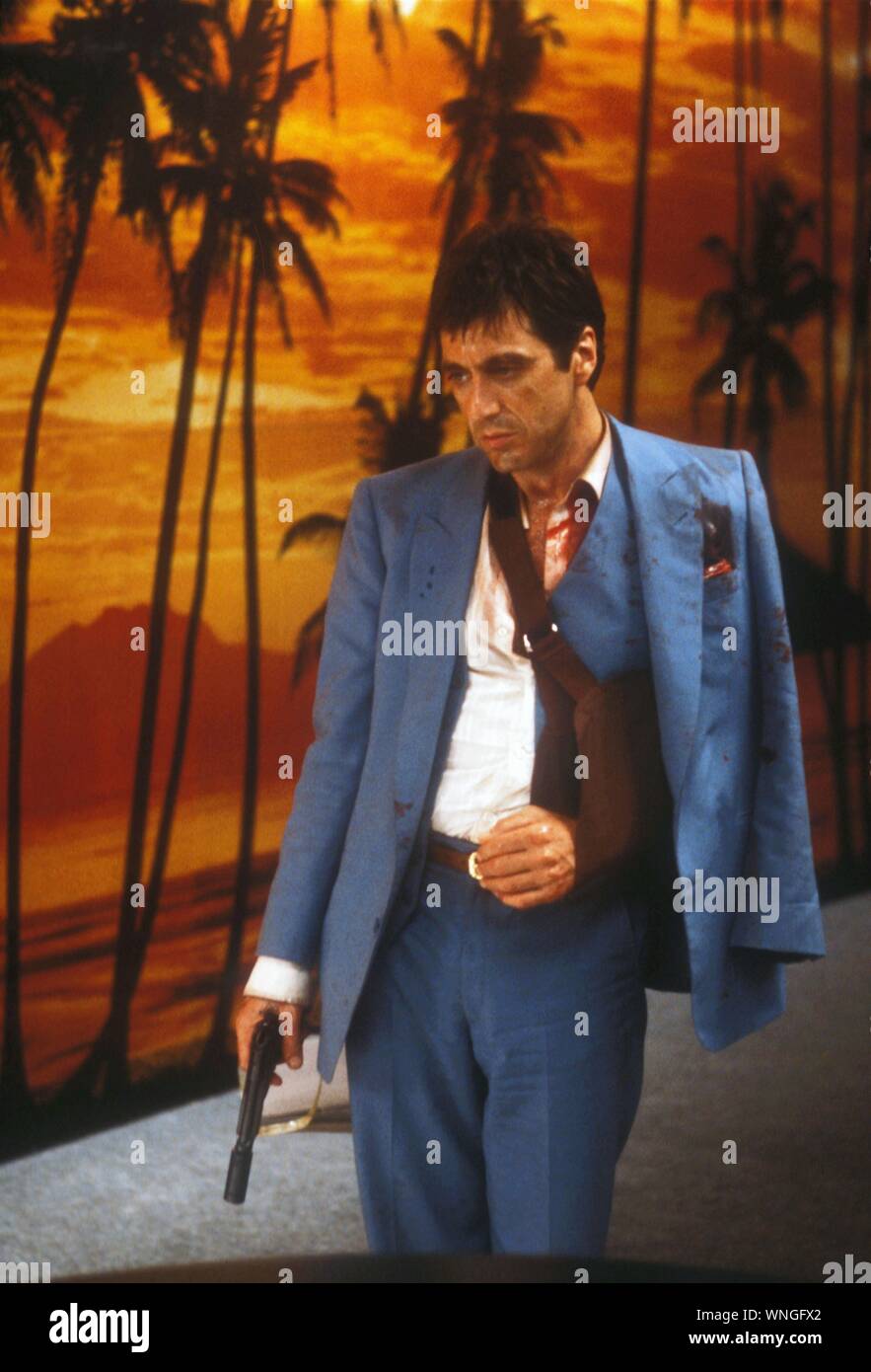 Scarface Year : 1983 USA Director : Brian De Palma Al Pacino Stock ...