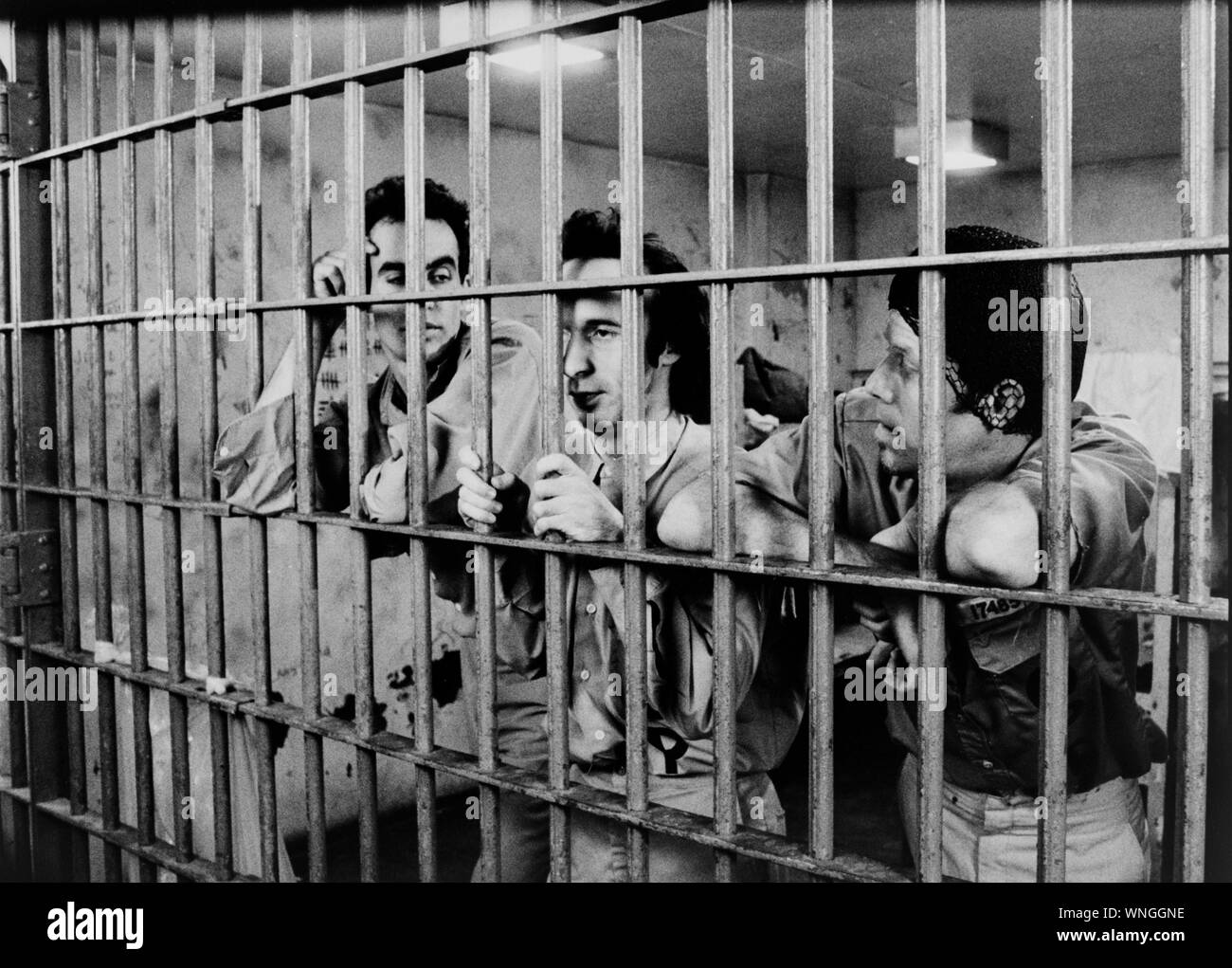 Down by Law Year : 1986 USA / West Germany Director : Jim Jarmusch John ...