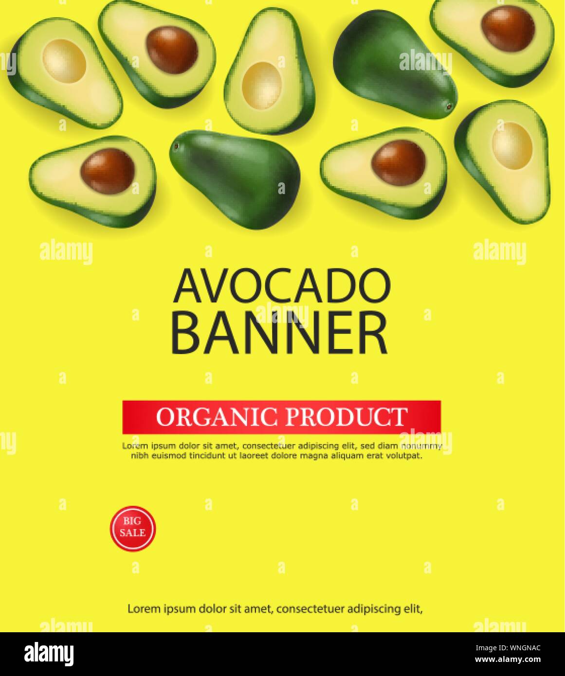 Avocado banner vector realistic. Menu page template layout. 3d ...
