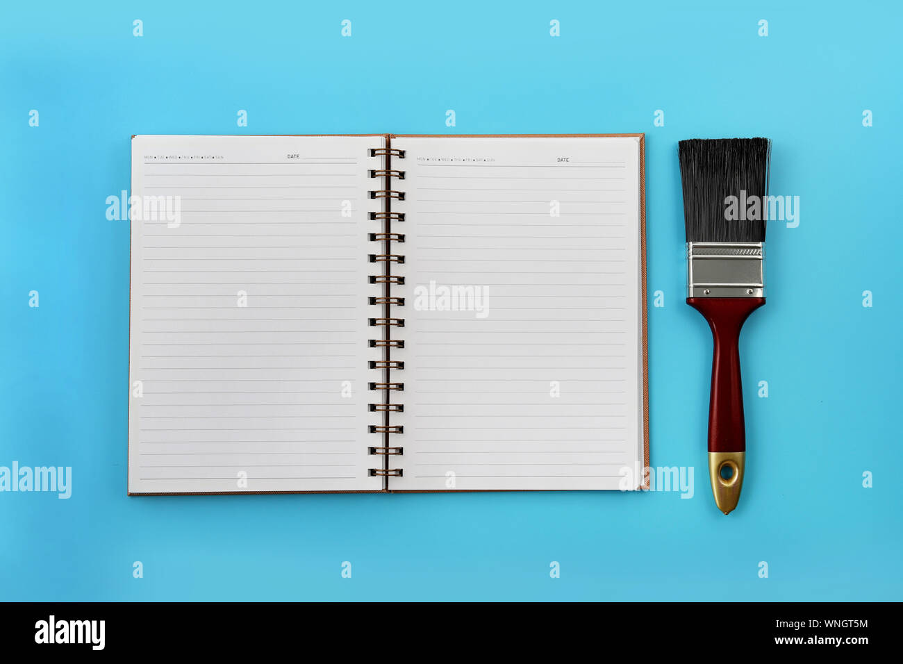 Book with blue background hi-res stock photography and images - Alamy