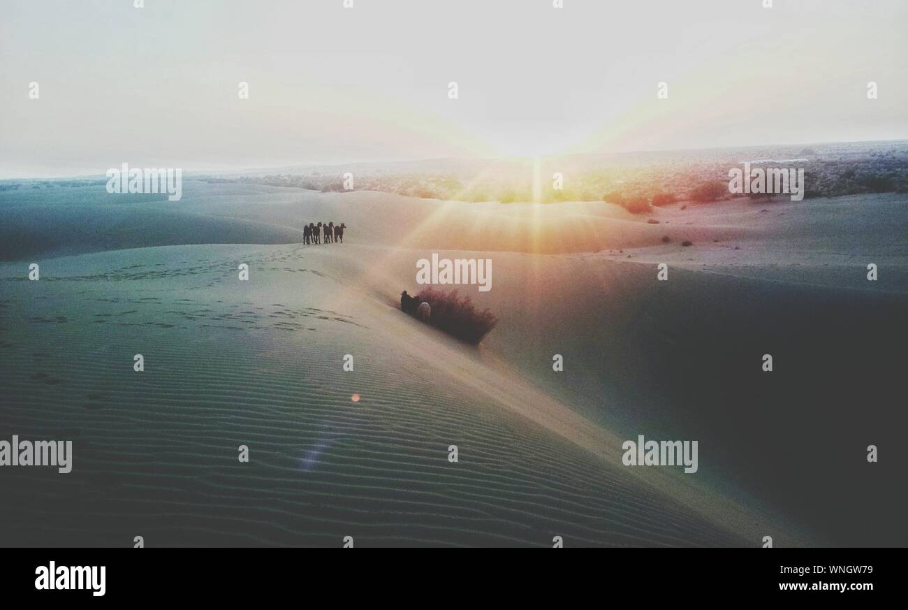 Dunes falling hi-res stock photography and images - Alamy