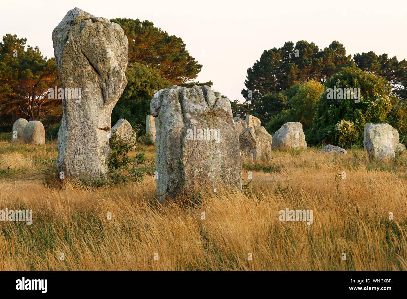 Alignements du Menec - rows of Menhirs in Carnac, the largest ...
