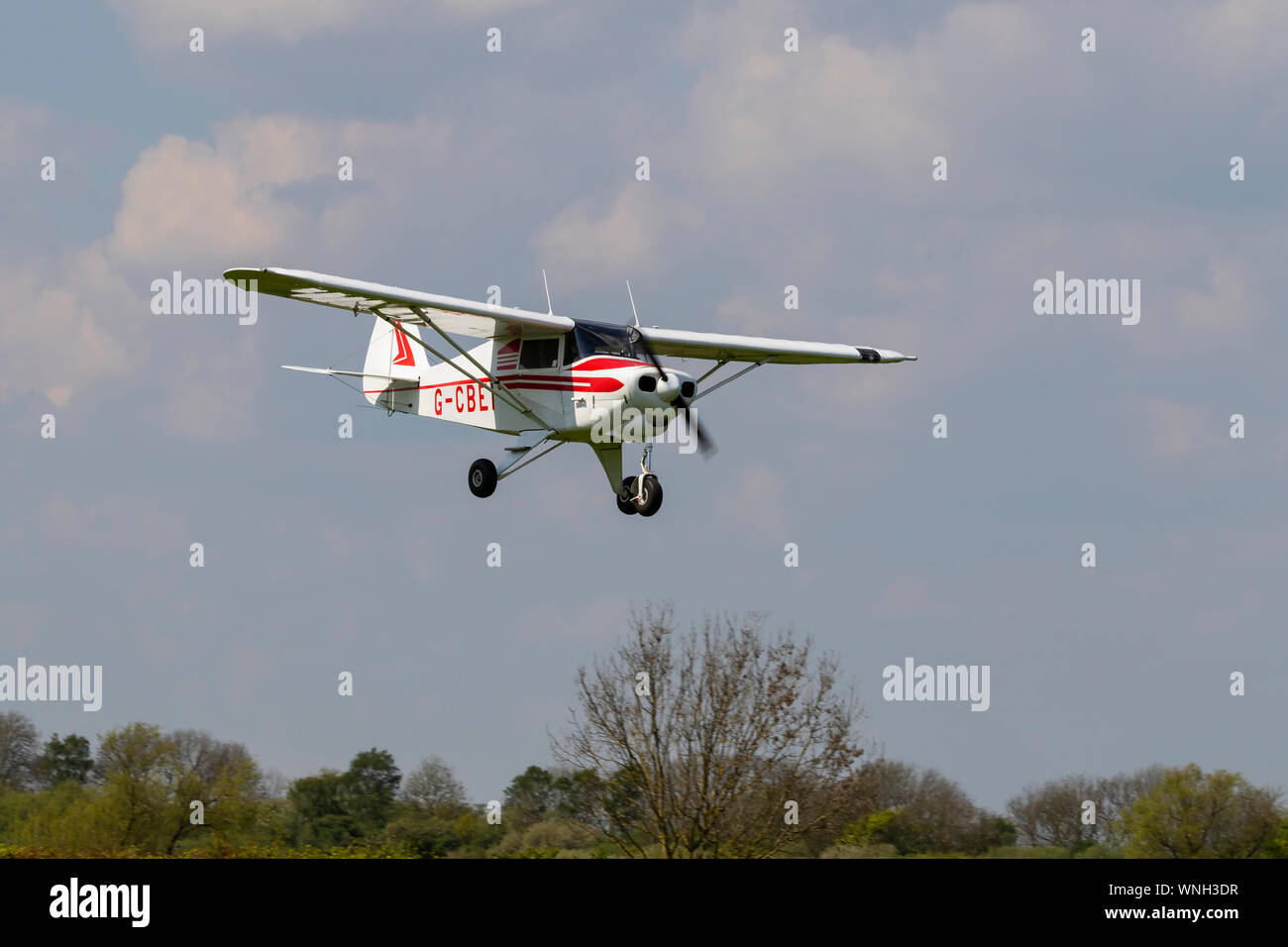 Piper colt hi-res stock photography and images - Alamy