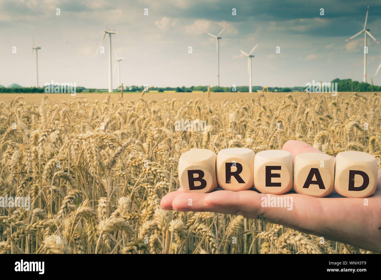 Cubes form the word "bread" in front of a wheat field Stock Photo - Alamy