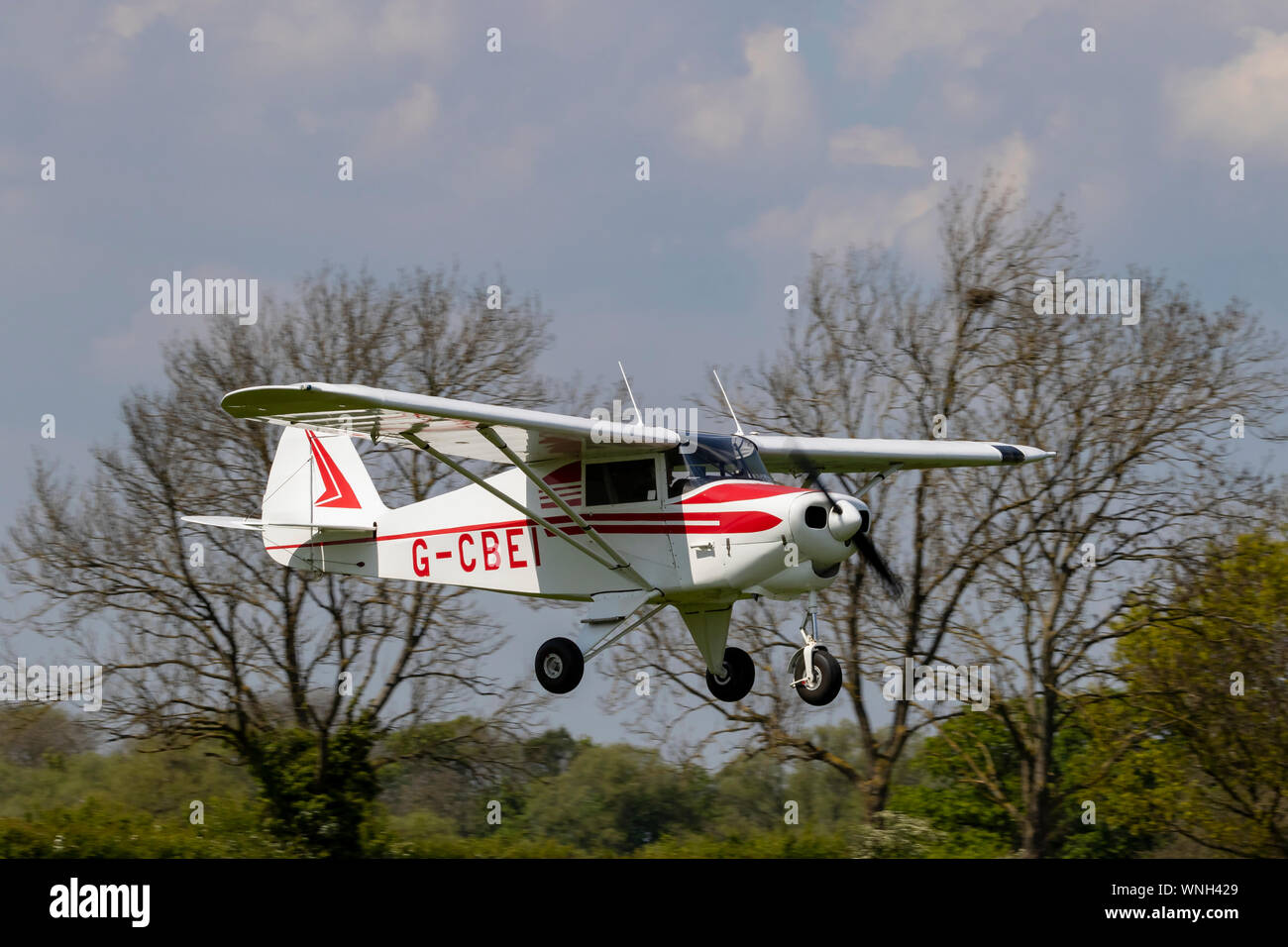 Piper colt hi-res stock photography and images - Alamy