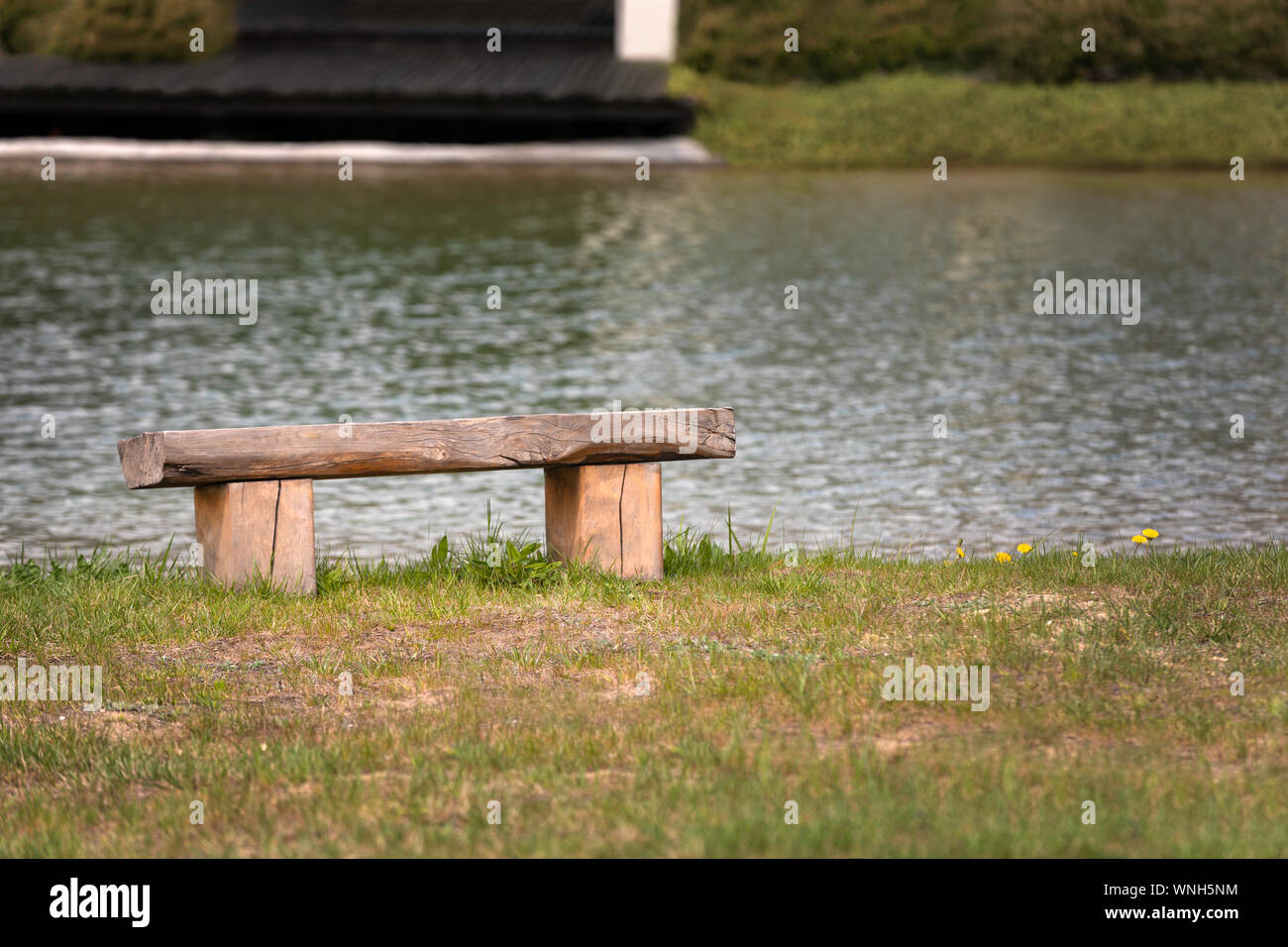 Lakeshore with bench and tree hi-res stock photography and images - Alamy