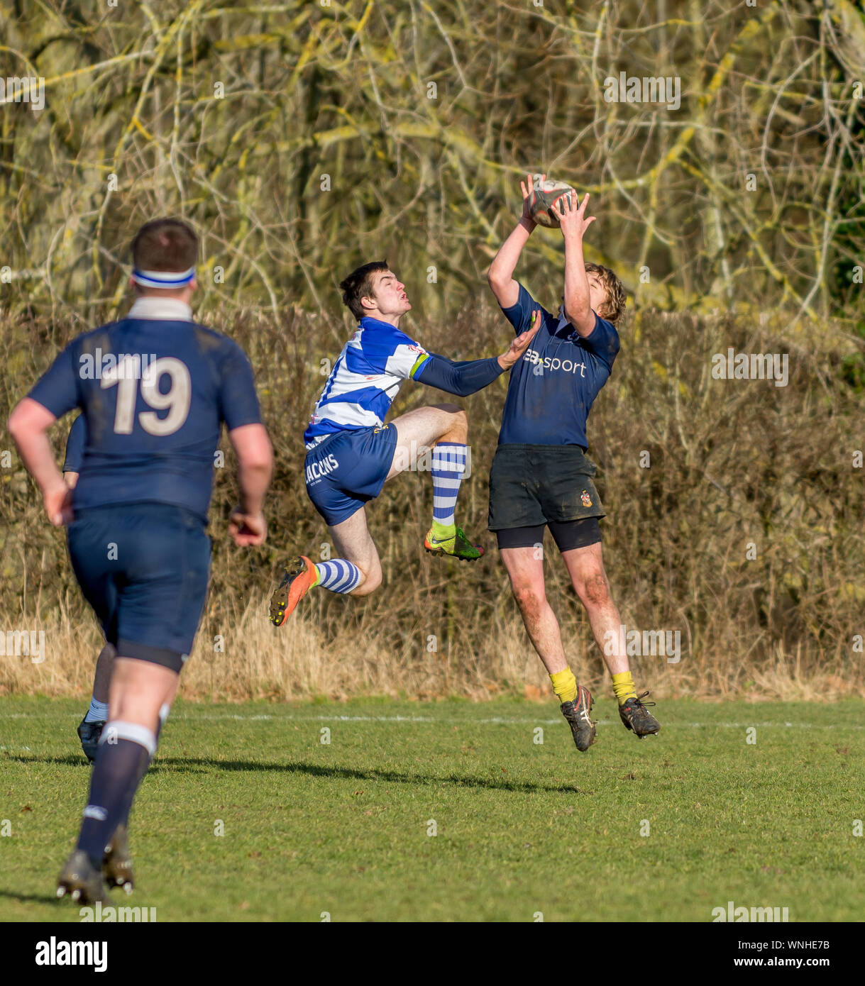 Amateur rugby union hi-res stock photography and images - Alamy