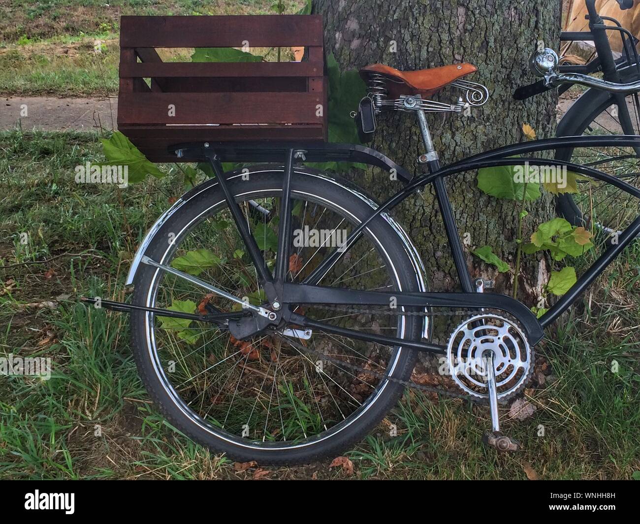 Bicycle crate hi-res stock photography and images - Alamy