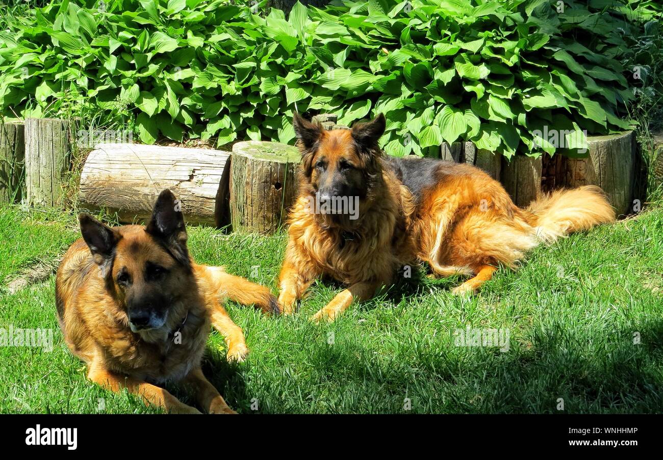 Relaxing garden hi-res stock photography and images - Alamy