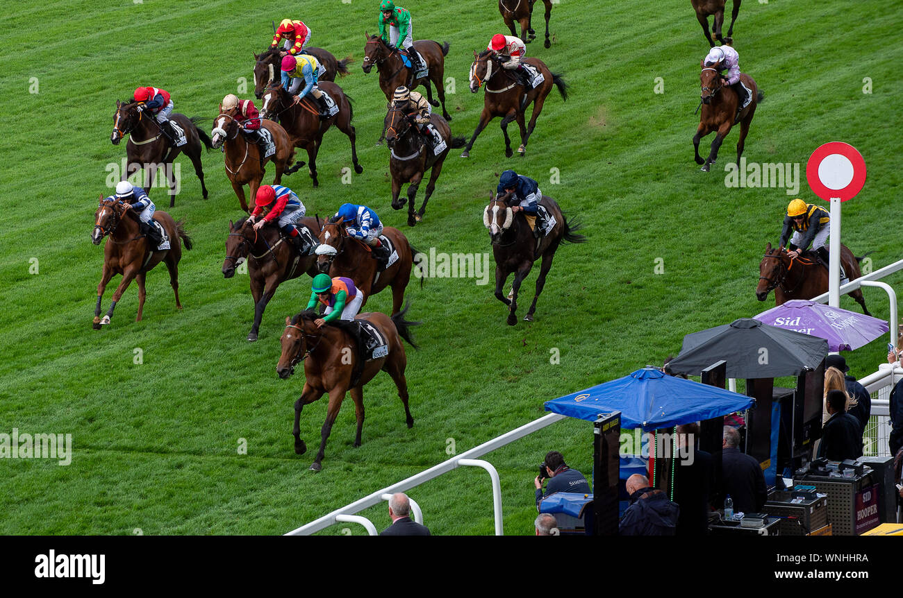 Stuart williams horse hi-res stock photography and images - Alamy