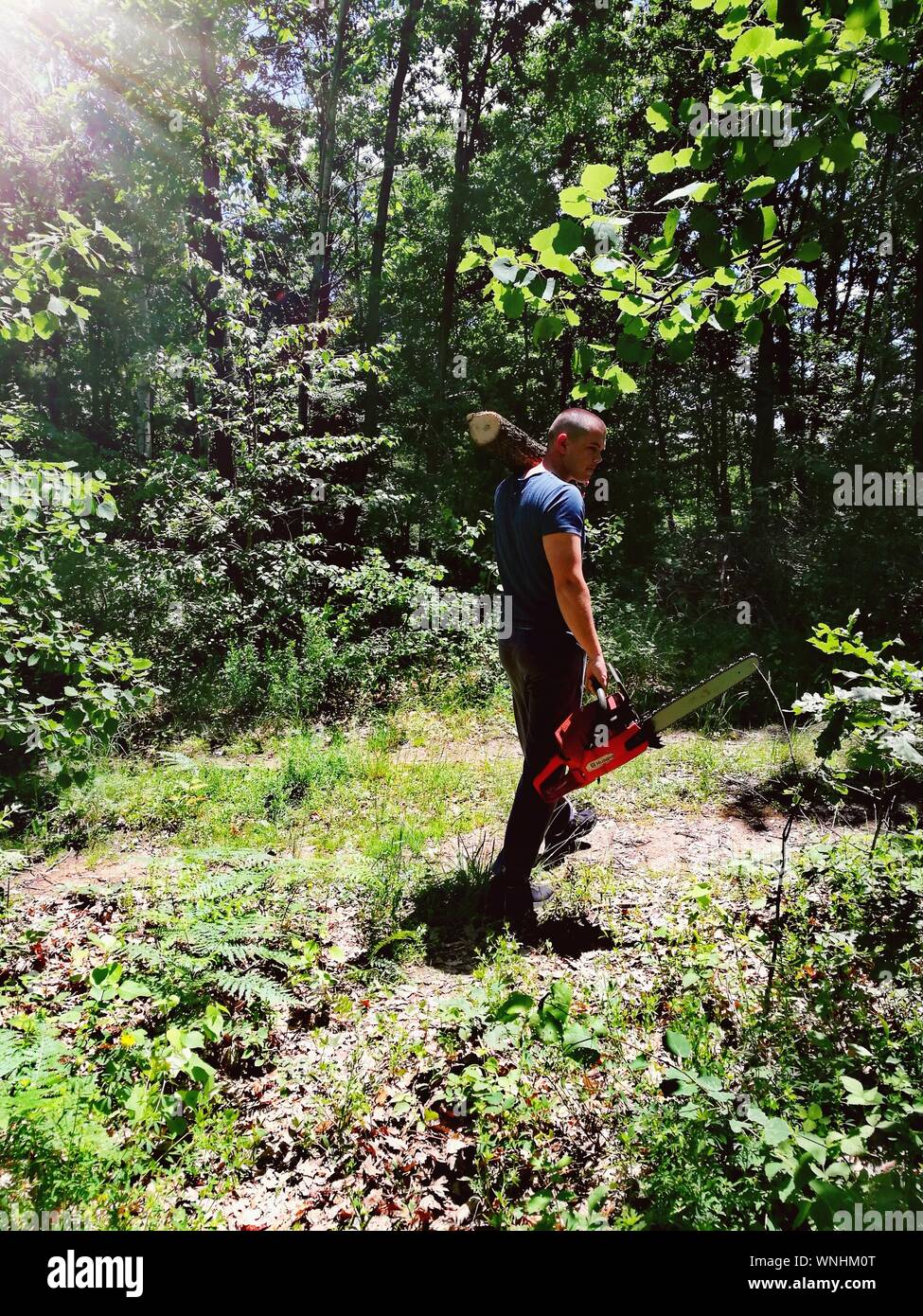 Man chainsaw log hi-res stock photography and images - Alamy