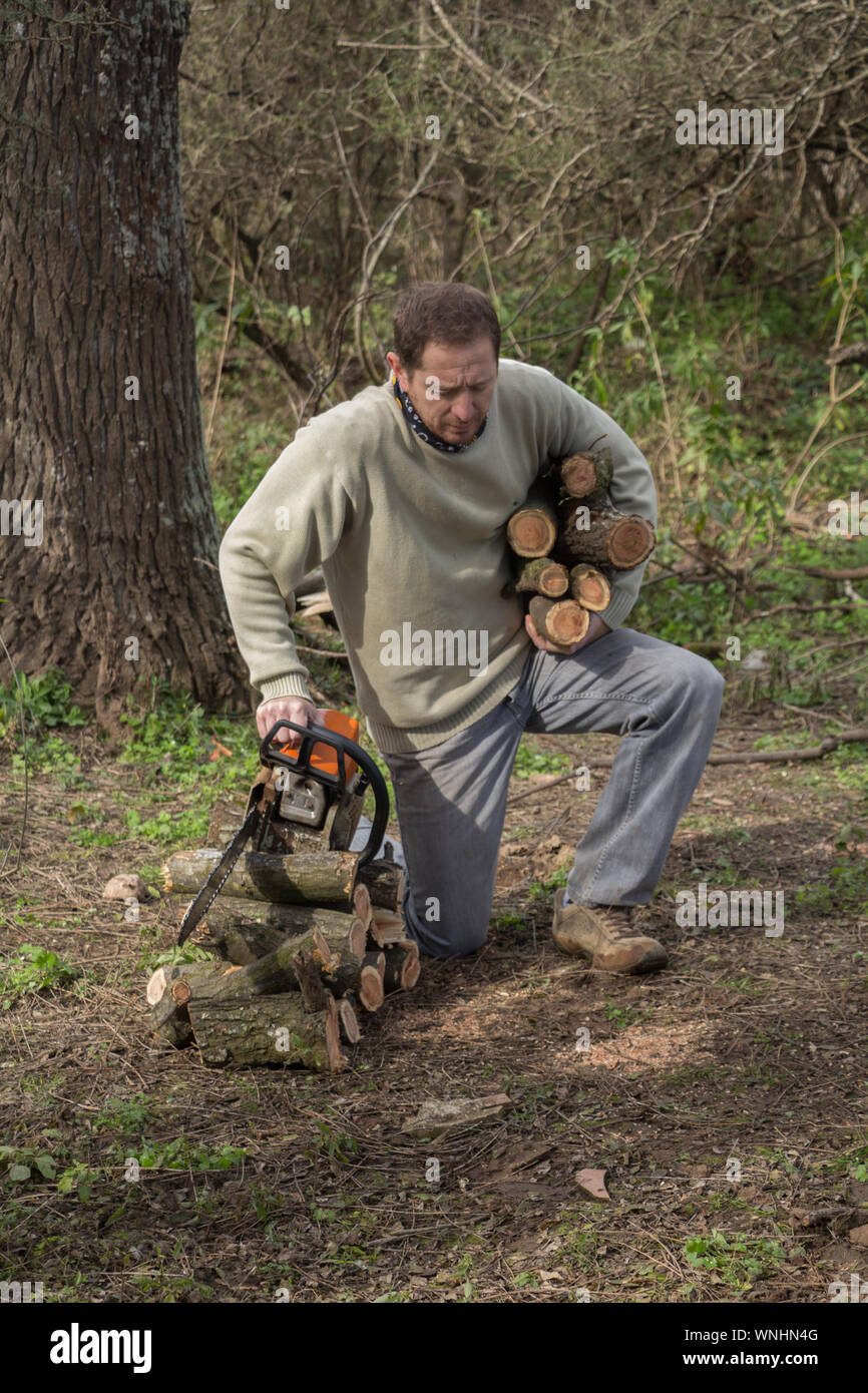 Man carrying wood forest hi-res stock photography and images - Alamy