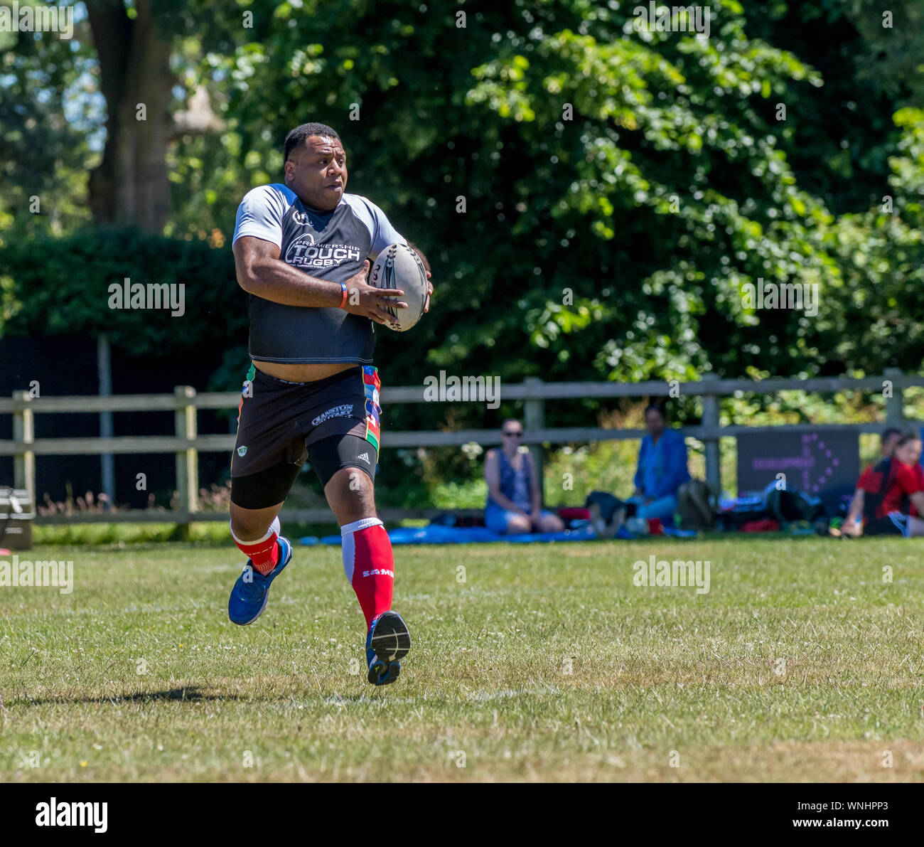 Amateur rugby touch player (male, 40-50 y) runs forwards with rugby ...