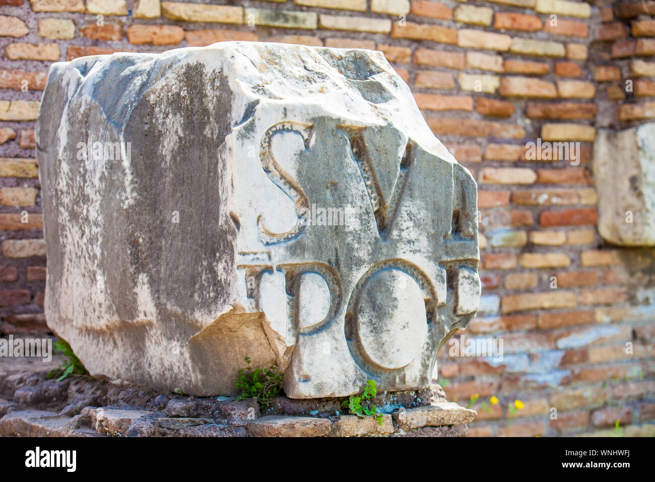 Detail of the ruins at the Flavian Palace also known as the Domus ...