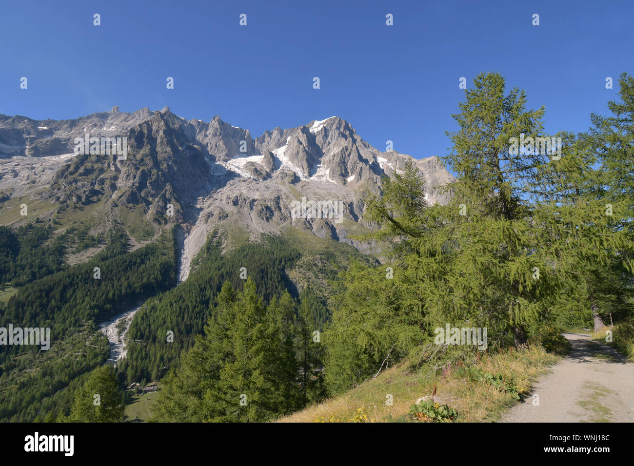 Ferret valley hi-res stock photography and images - Alamy